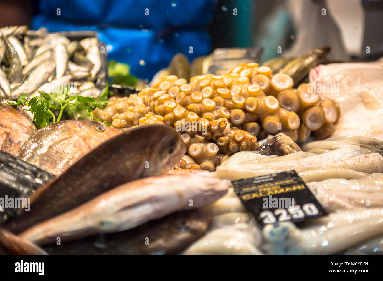 Seafood fish and octopus sold in Queen Victoria Market, Melbourne ...