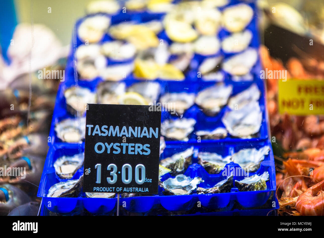 Tasmanian oysters in blue tray sold in Queen Victoria Market, Melbourne ...
