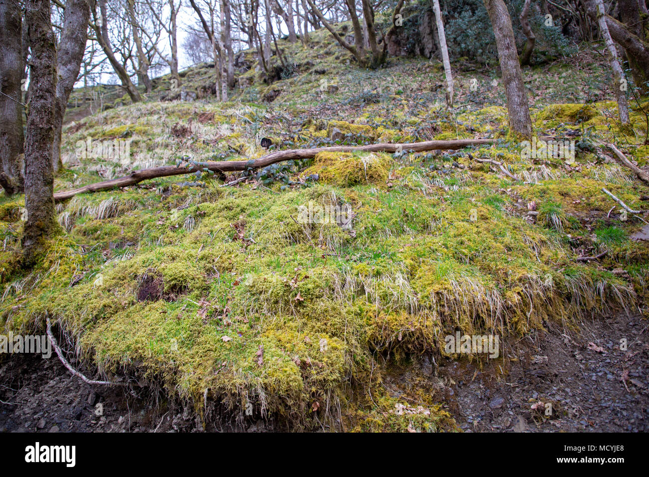 Waterfall Country, Four Waterfalls - Brecon Beacons, National park ...