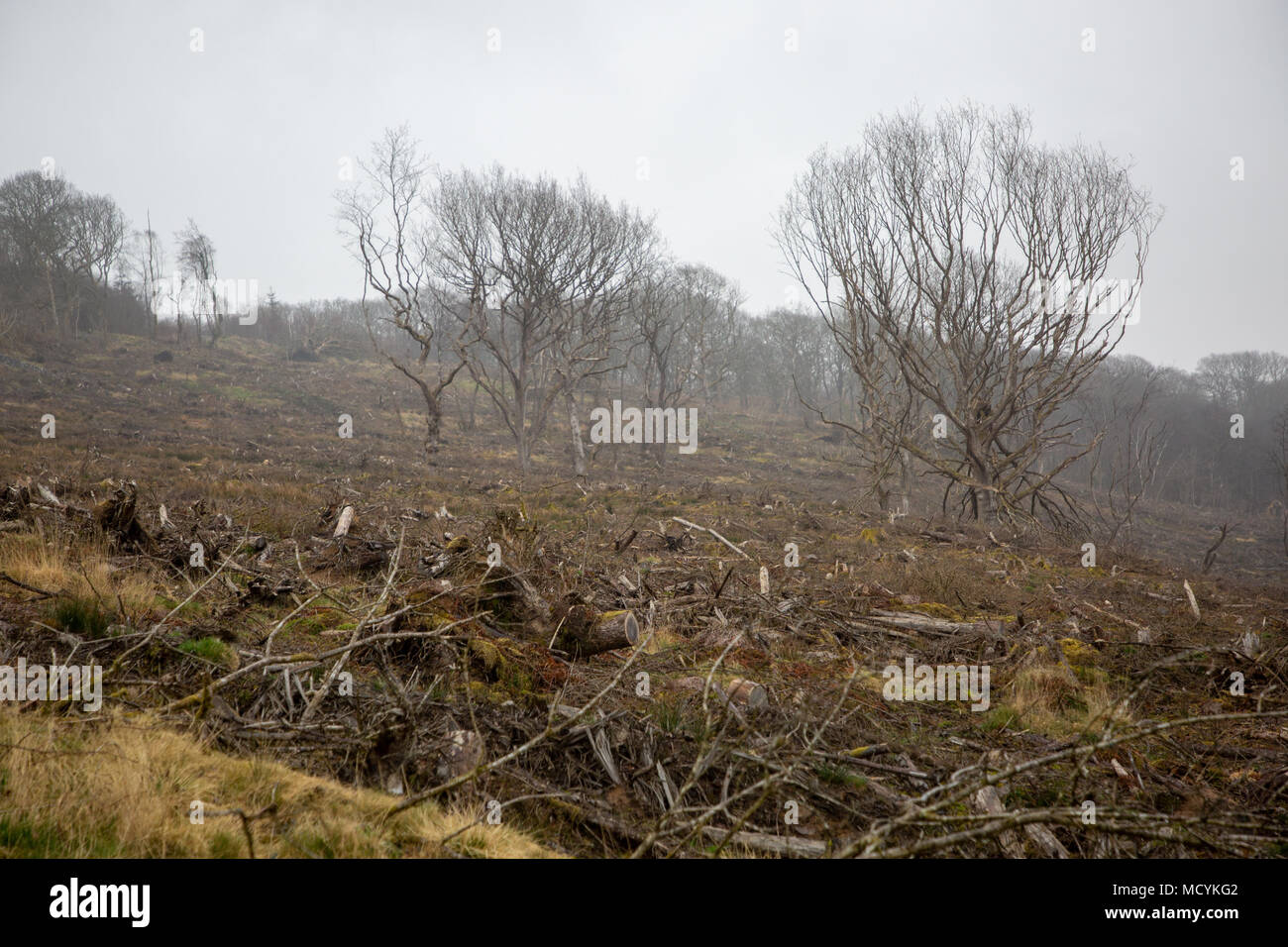 Four waterfalls walk brecon hi-res stock photography and images - Alamy