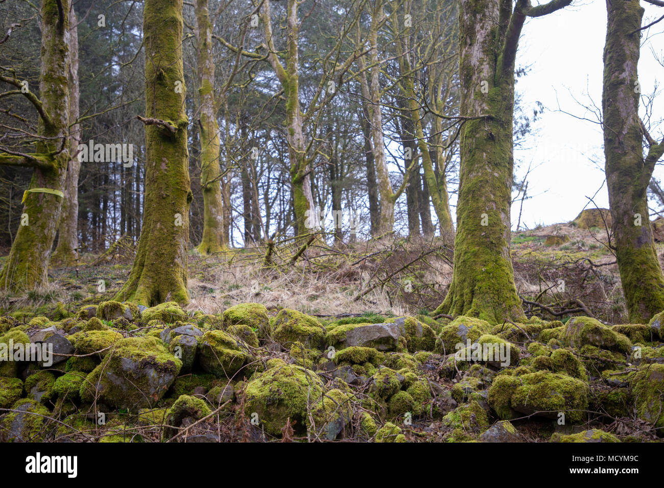 Four waterfalls walk brecon hi-res stock photography and images - Alamy