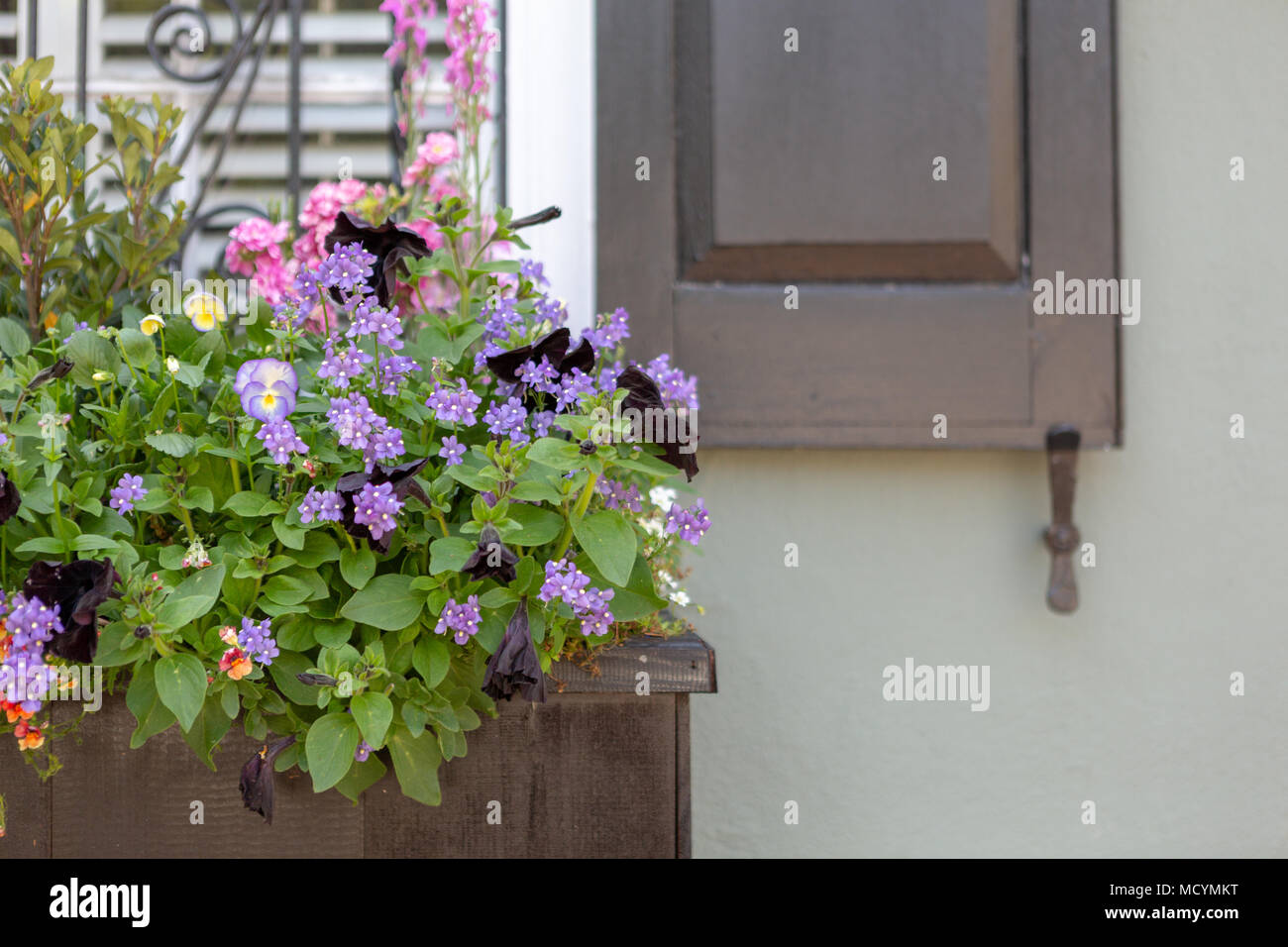 Flowers in window boxes on Rainbow Row, Charleston, South Carolina, USA ...