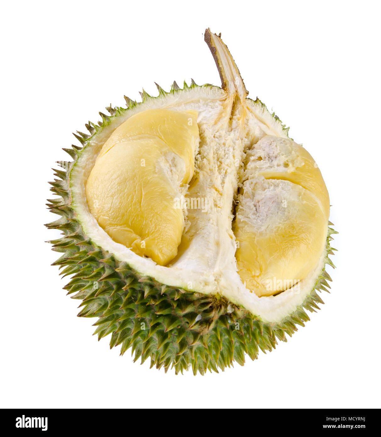Durian fruit. Shell (husk) of the prized durian fruit Stock Photo - Alamy