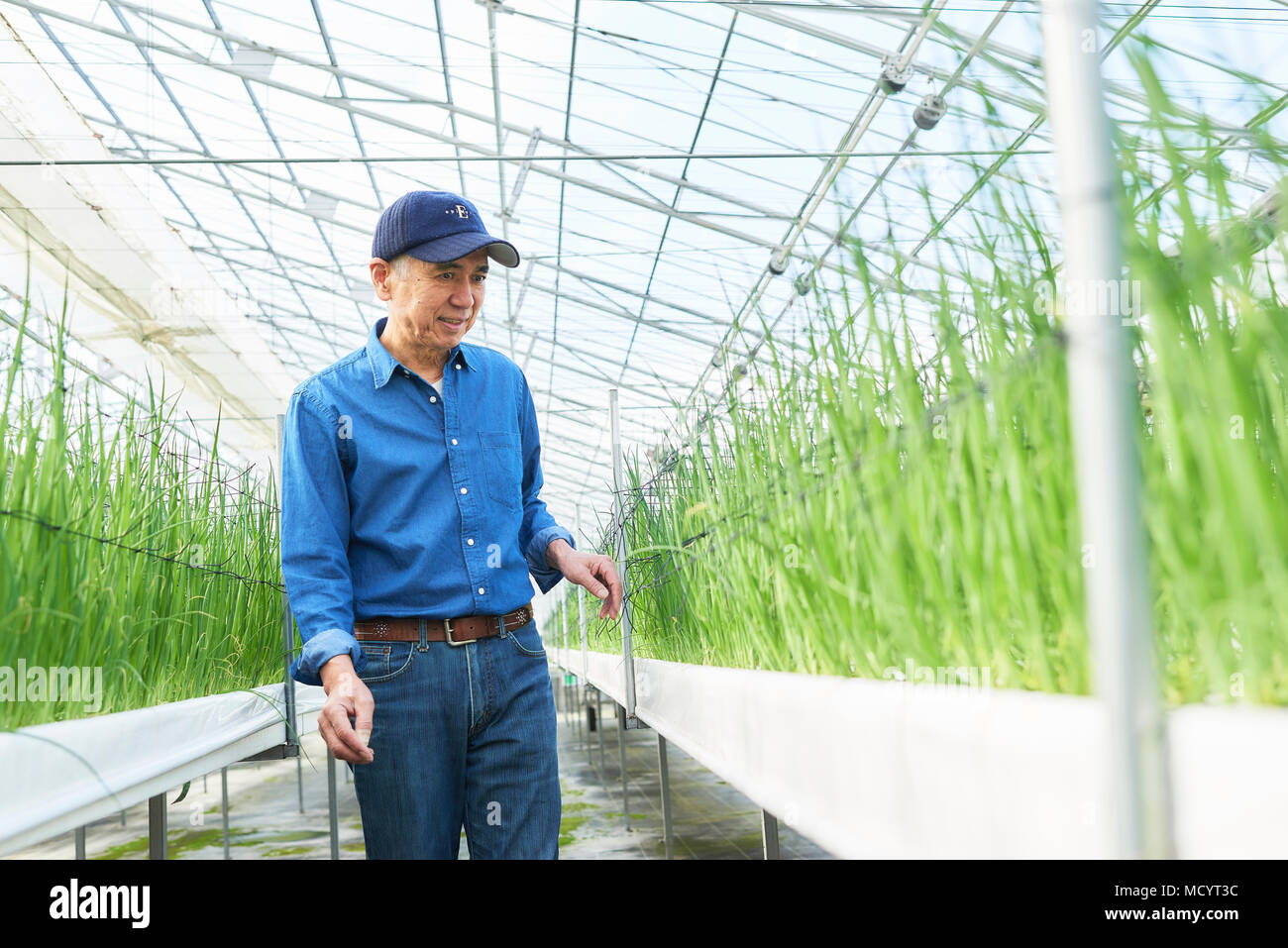 Quality checking goods hi-res stock photography and images - Alamy