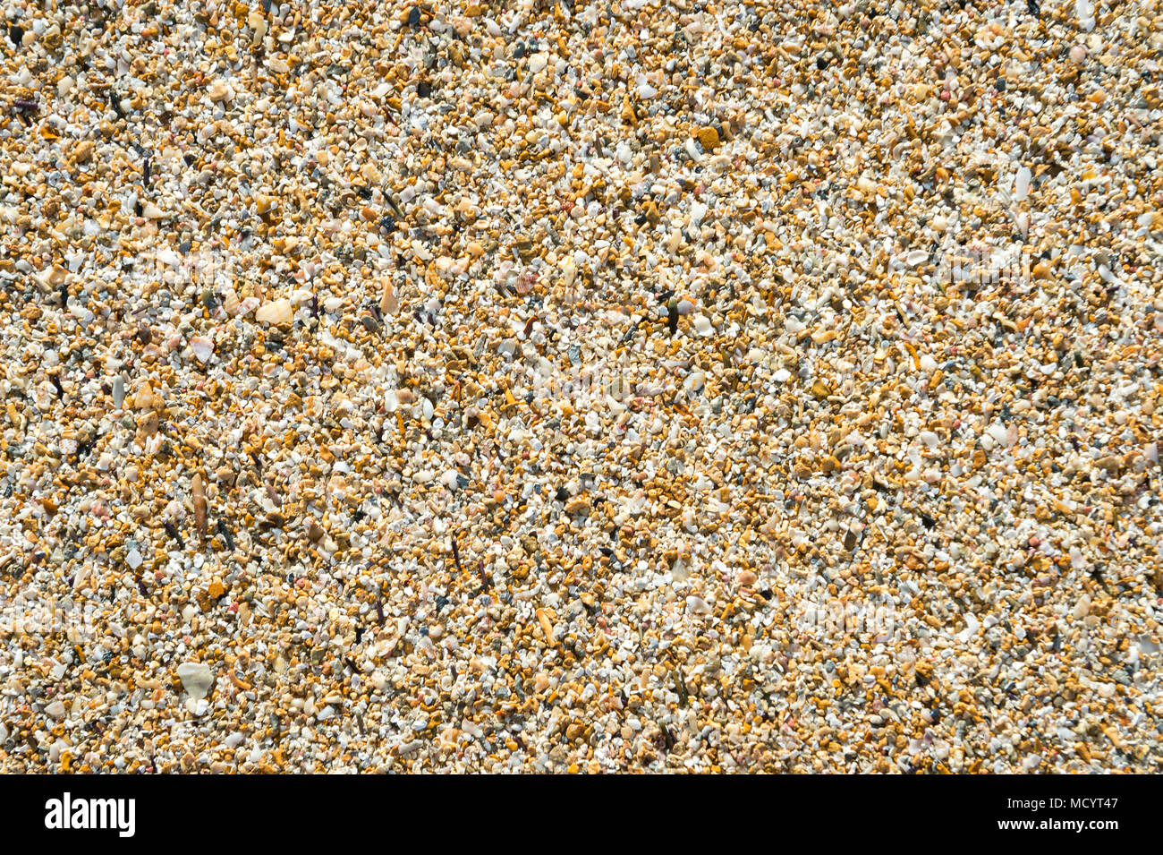 Close-up abstract view of sand texture made from broken shells and ...
