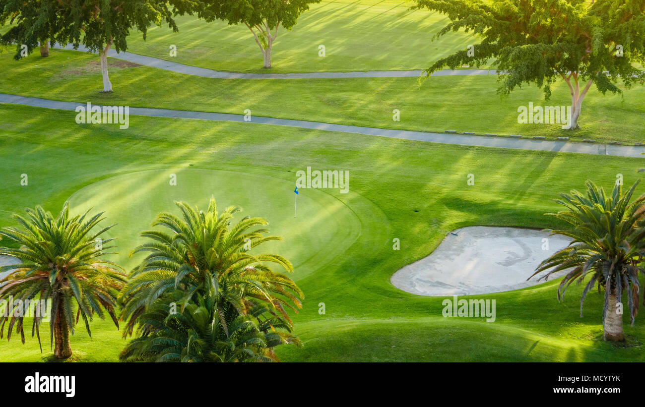 Above view on palm trees on green golf court Stock Photo - Alamy