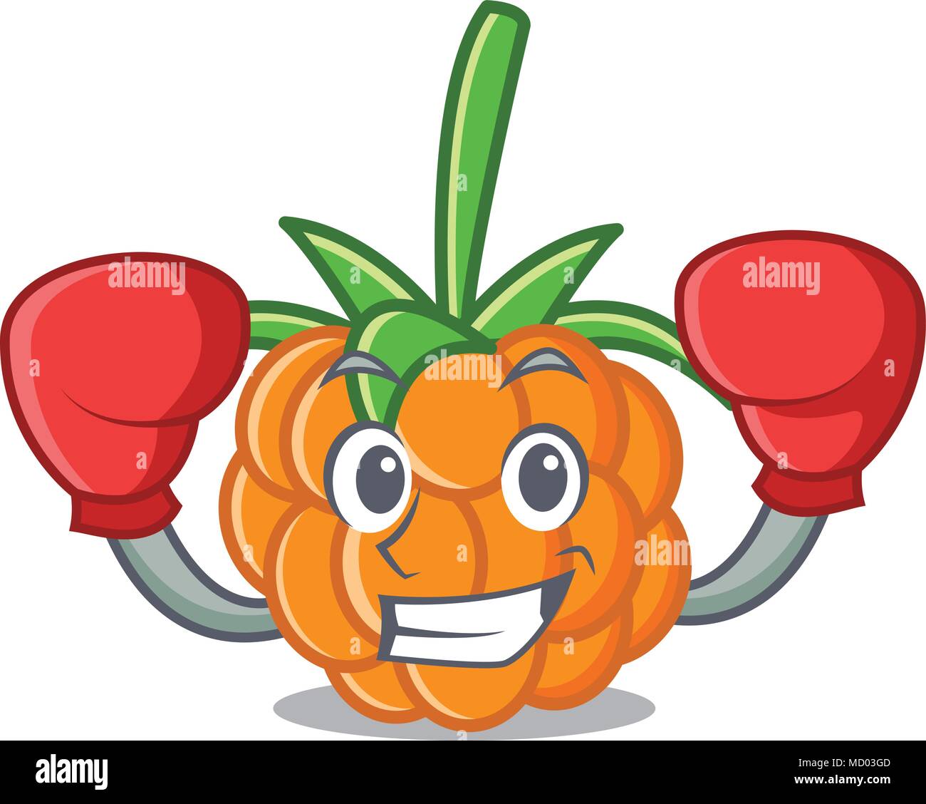 Boxing cloudberry character cartoon style vector illustration Stock ...