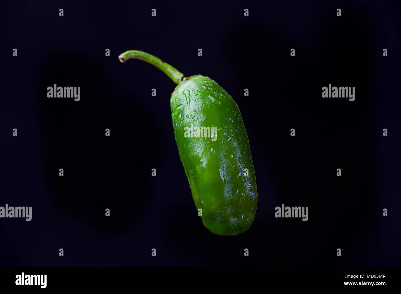 Black naga hi-res stock photography and images - Alamy