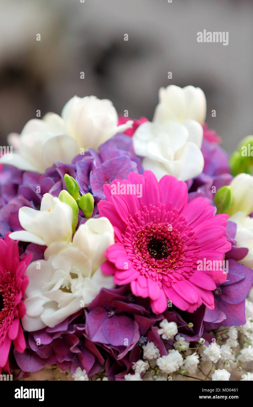 Wedding bouquet of pink flowers with empty space for text Stock Photo ...