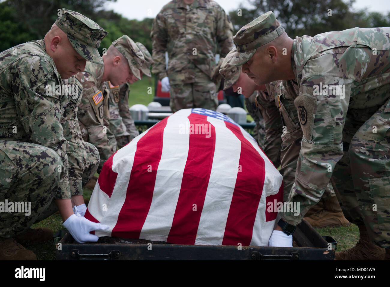 Defense POW/MIA Accounting Agency (DPAA) personnel place an American ...