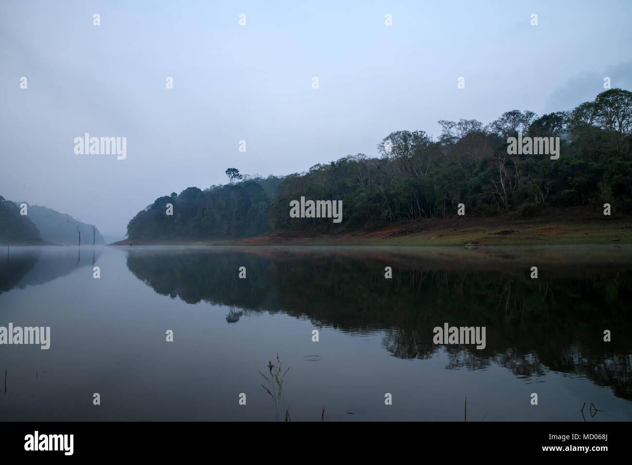 Beautiful view of boating in thekkady lake and periyar tiger reserve ...