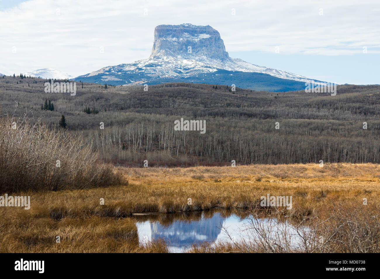 Chief Mountain High Resolution Stock Photography and Images - Alamy