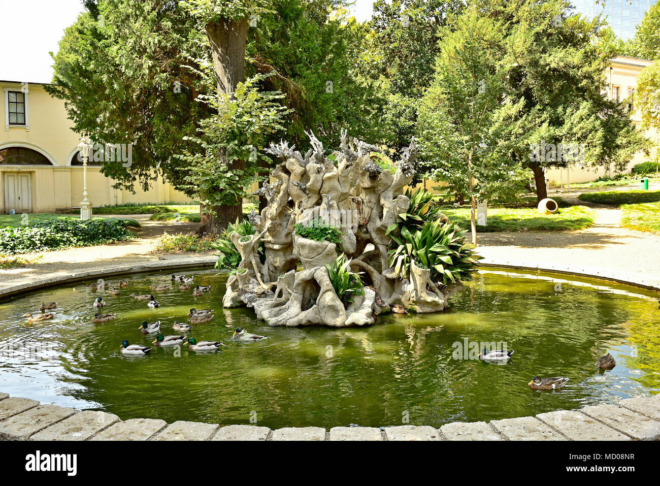 Topkapi Palace pond and ducks - Istanbul, Turkey Stock Photo - Alamy