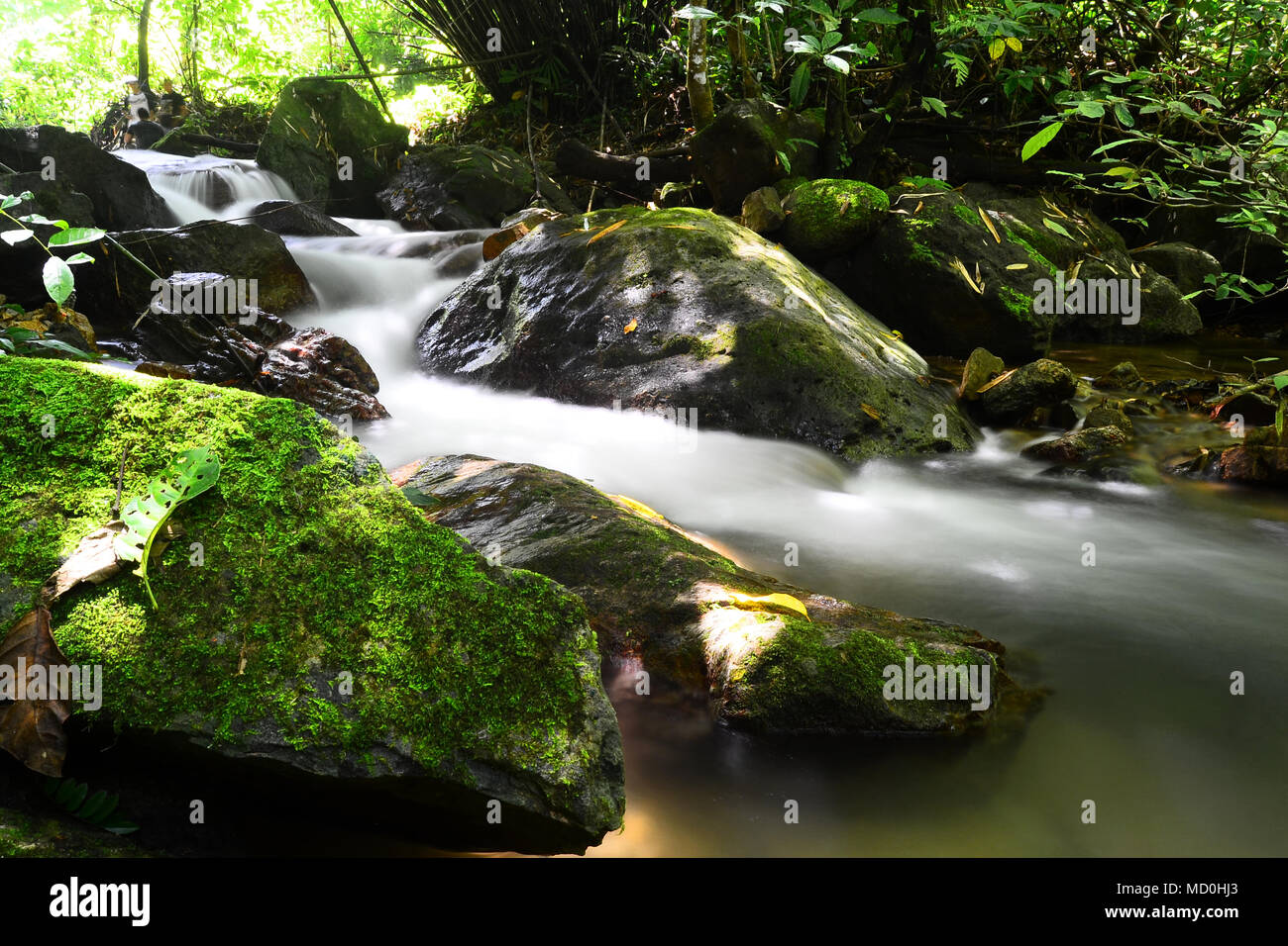 I took a picture and stood in the middle of the river in this Borneo ...
