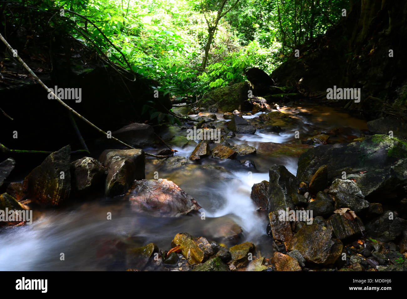 I took a picture and stood in the middle of the river in this Borneo ...