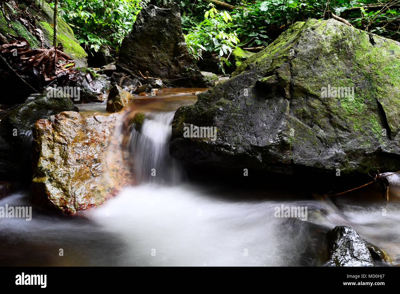I took a picture and stood in the middle of the river in this Borneo ...