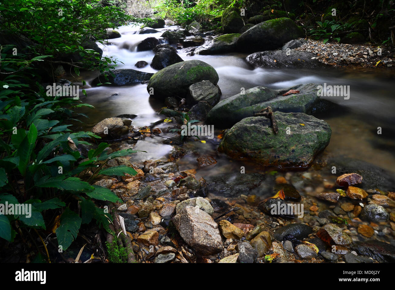 I took a picture and stood in the middle of the river in this Borneo ...
