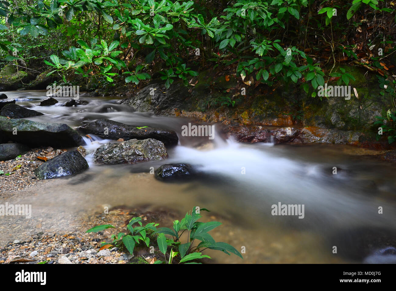 I took a picture and stood in the middle of the river in this Borneo ...