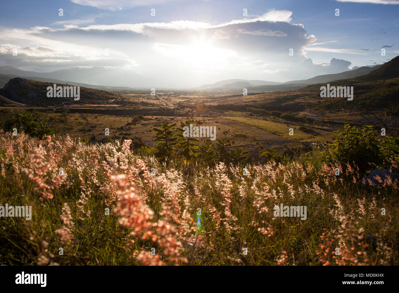 City vista mexico city hi-res stock photography and images - Alamy