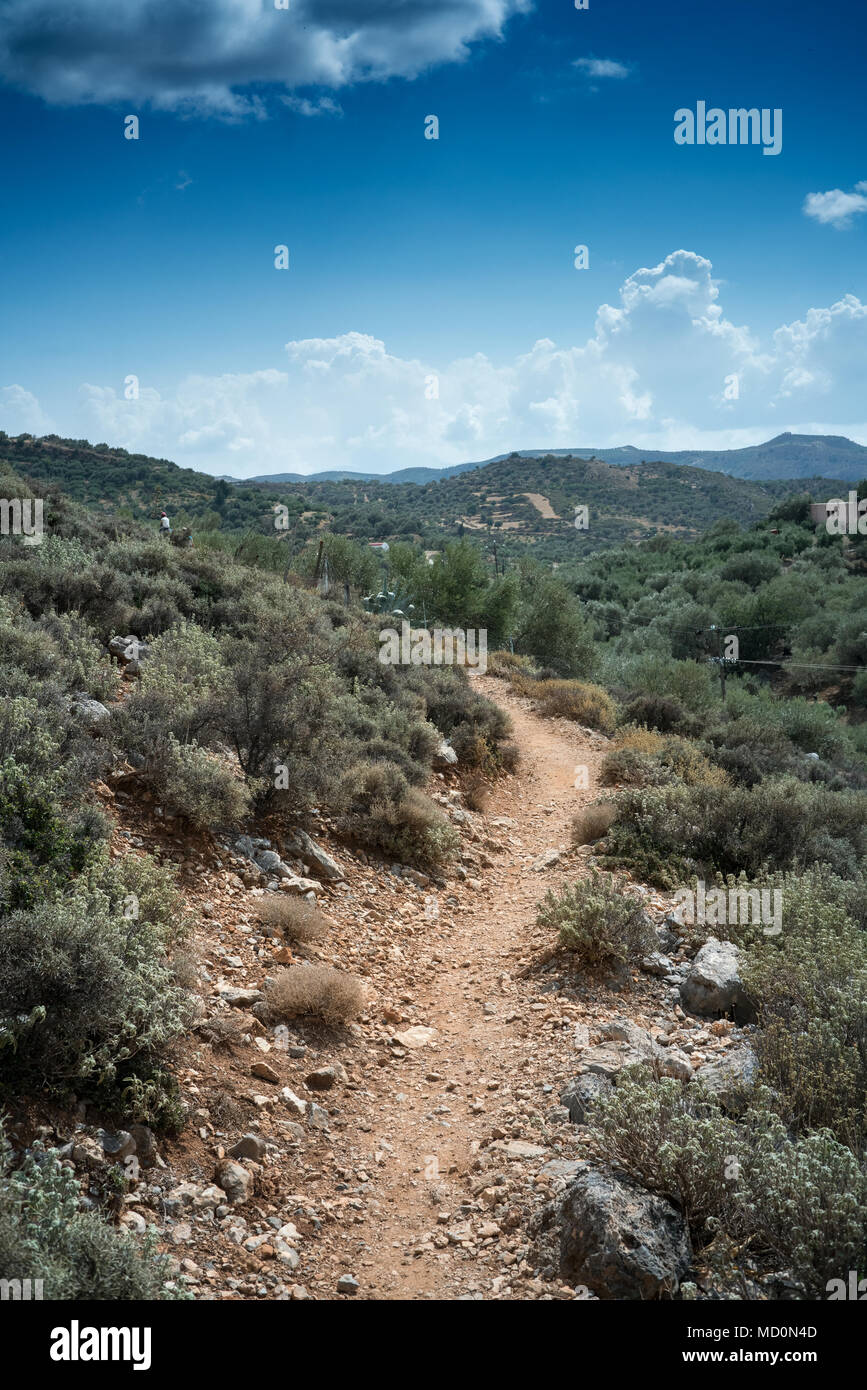 Dirt road and field with mountain in the background, Crete, Greece ...