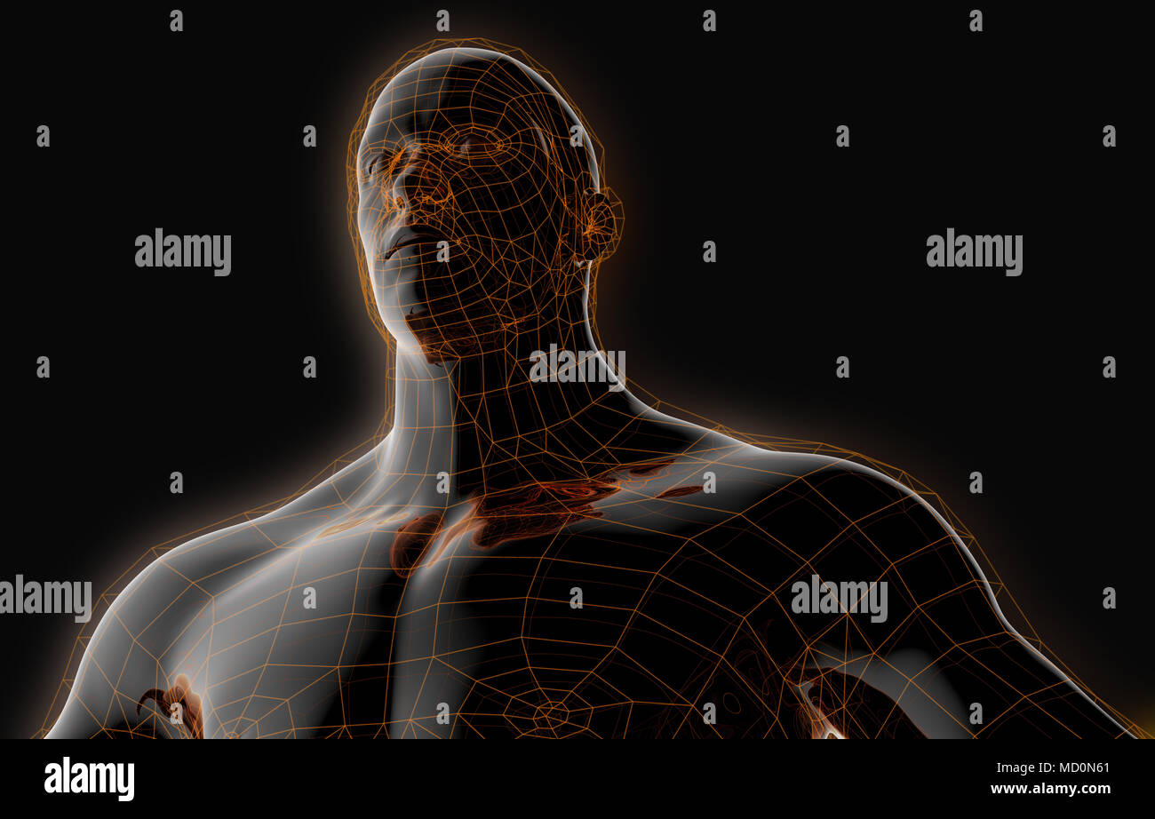 Wire frame model of a 3d head hi-res stock photography and images - Alamy