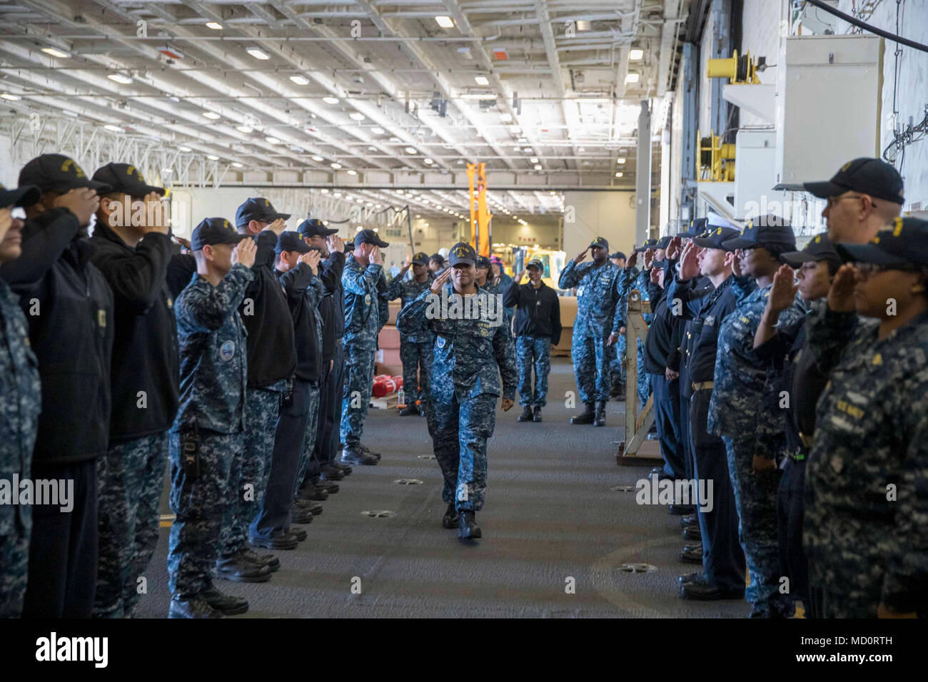 NORFOLK, Va. (Mar. 29, 2018) -- Chief Navy Counselor Denise Love ...