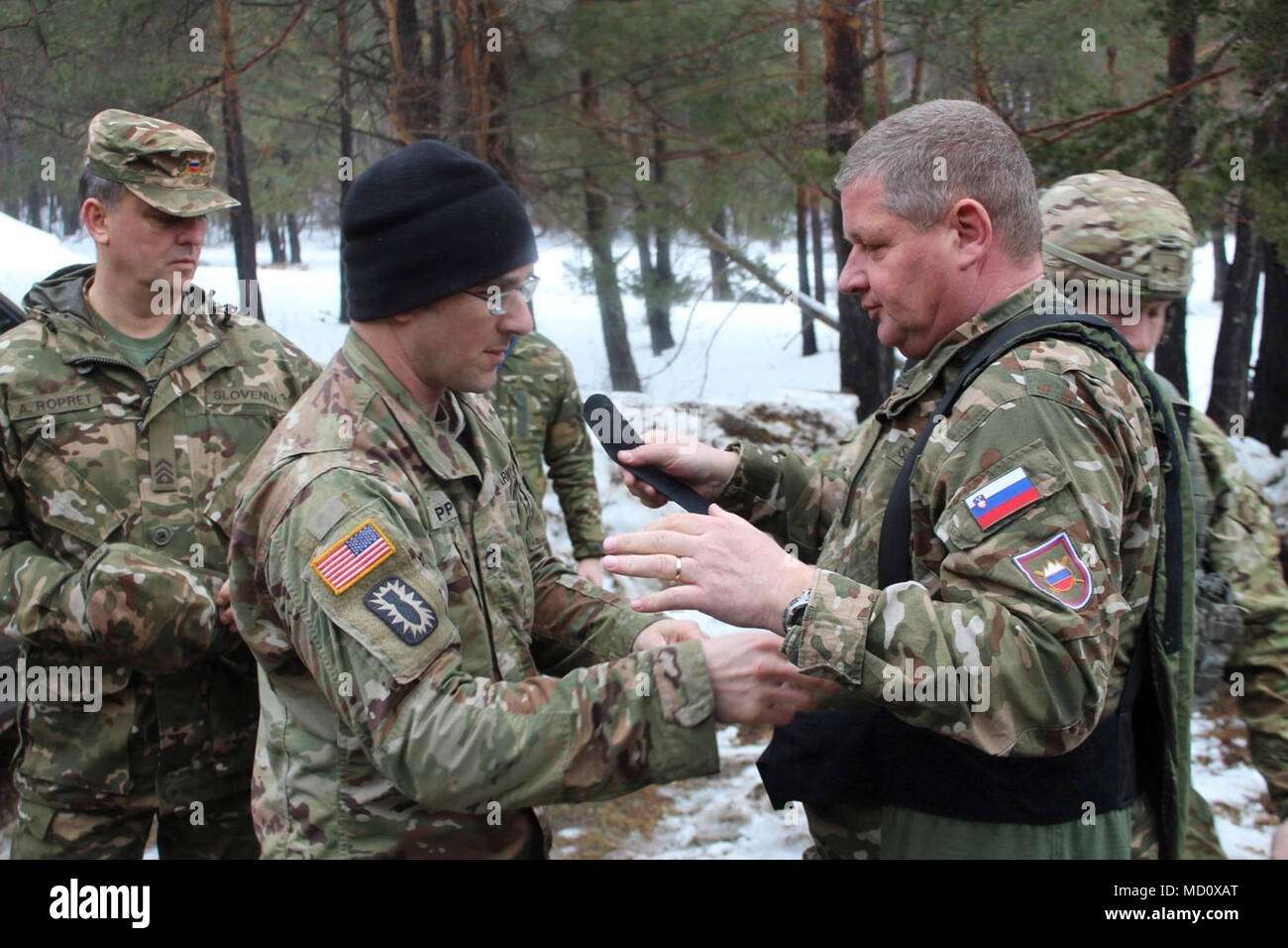 173rd special troops battalion hi-res stock photography and images - Alamy
