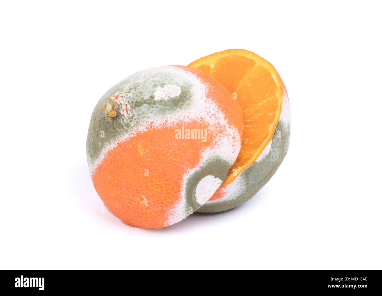 Moldy orange isolated on a white background Stock Photo - Alamy