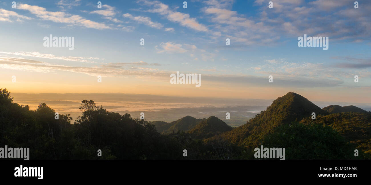Jungle sunrise hi-res stock photography and images - Alamy