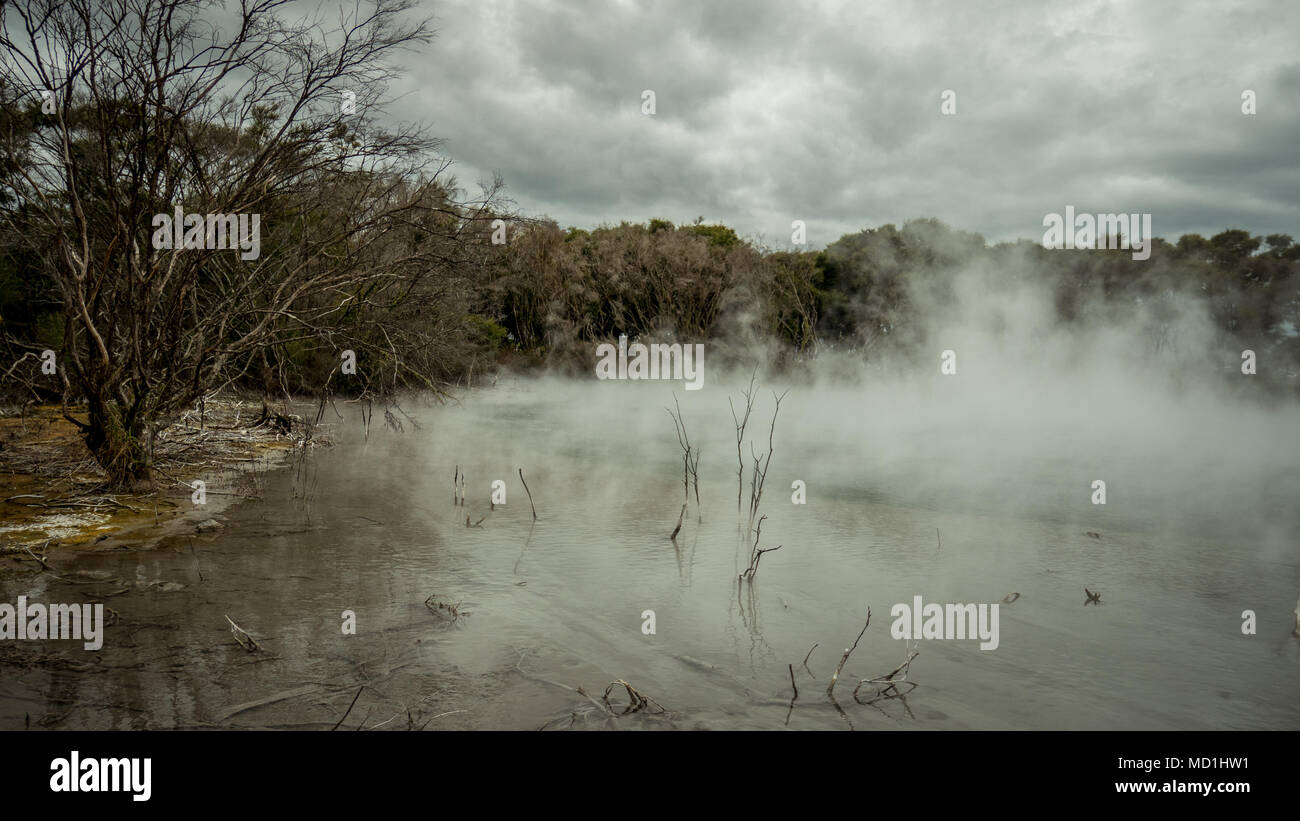 Dead geothermal landscape vista with leafless vegetation and steaming ...