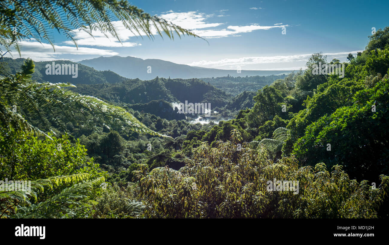 Waimangu Volcanic Rift Valley in Rotorua region, North Island of New ...