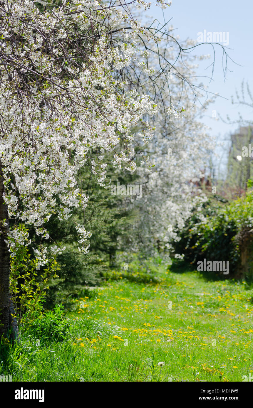 Flowery scene hi-res stock photography and images - Alamy
