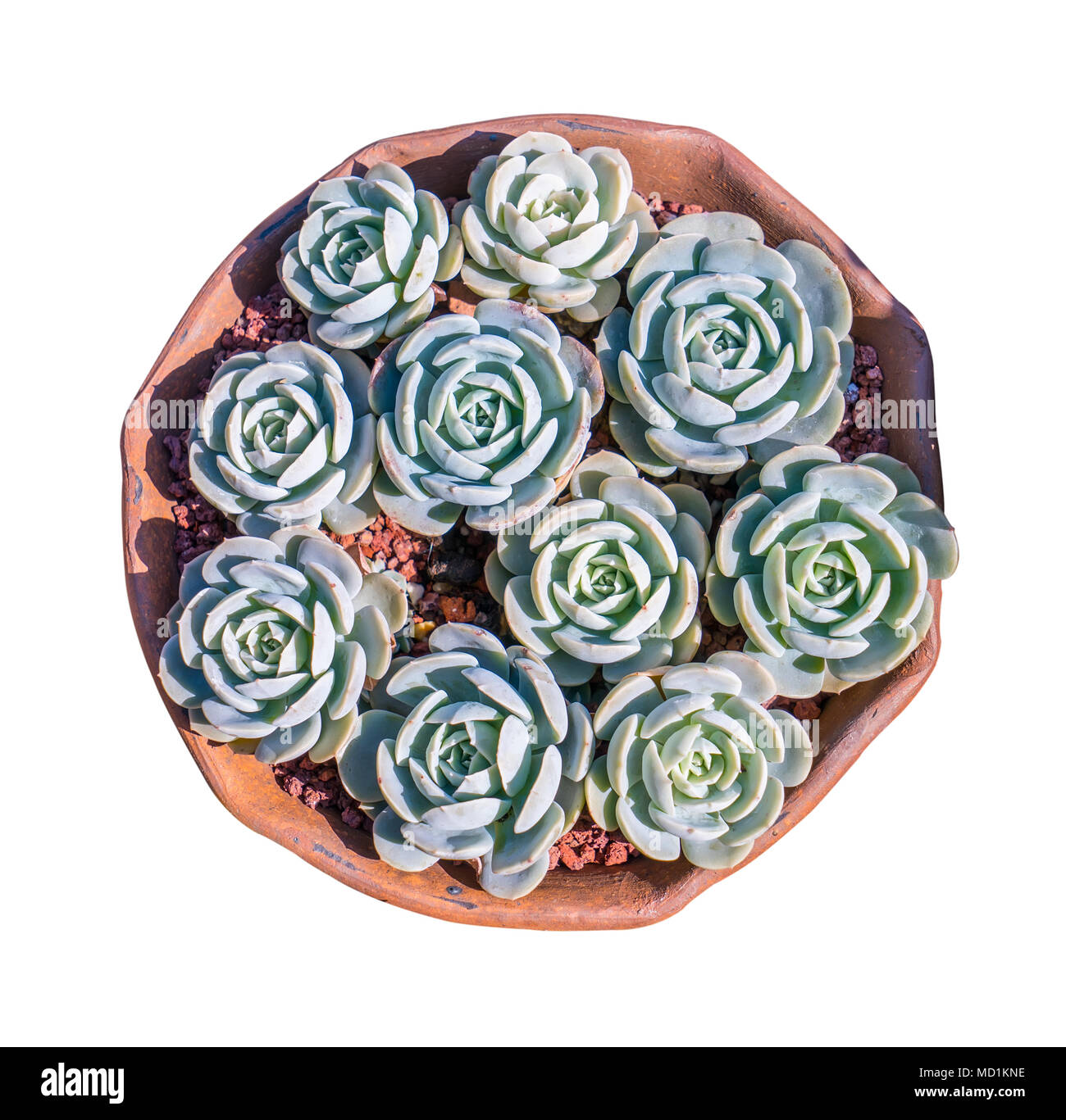 Rock garden with landscaping Cut Out Stock Images & Pictures - Alamy