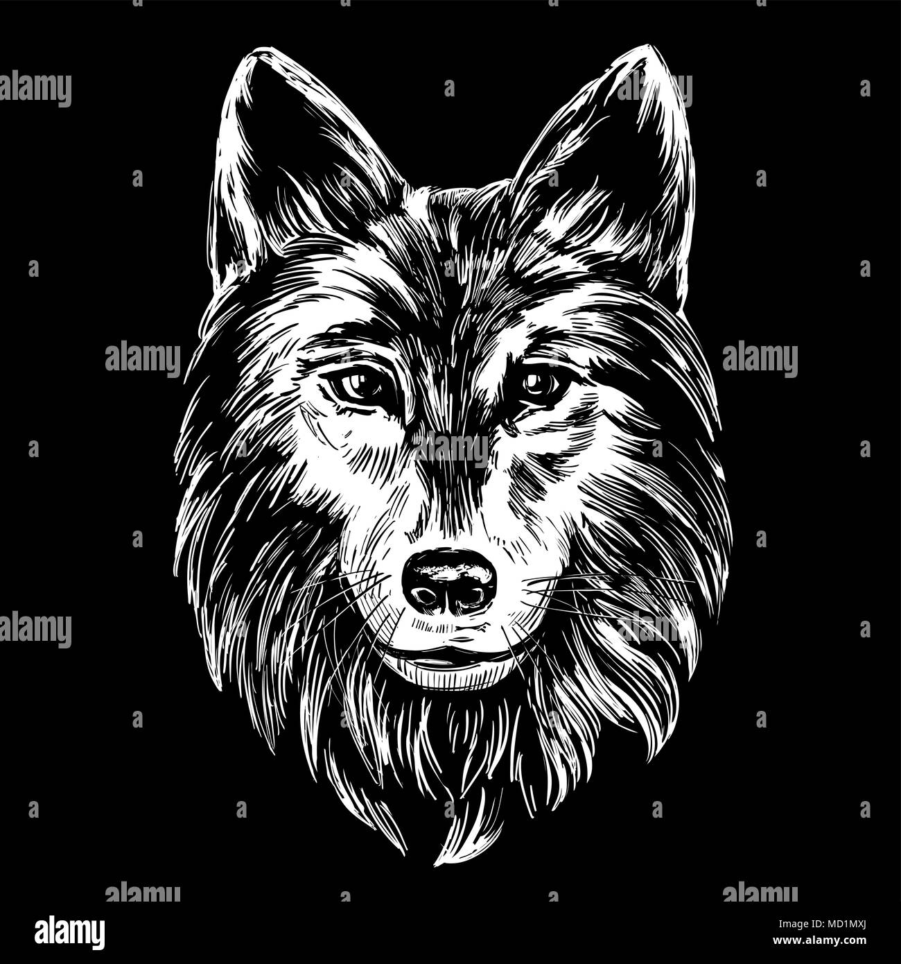 Cute animal background Black and White Stock Photos & Images - Alamy