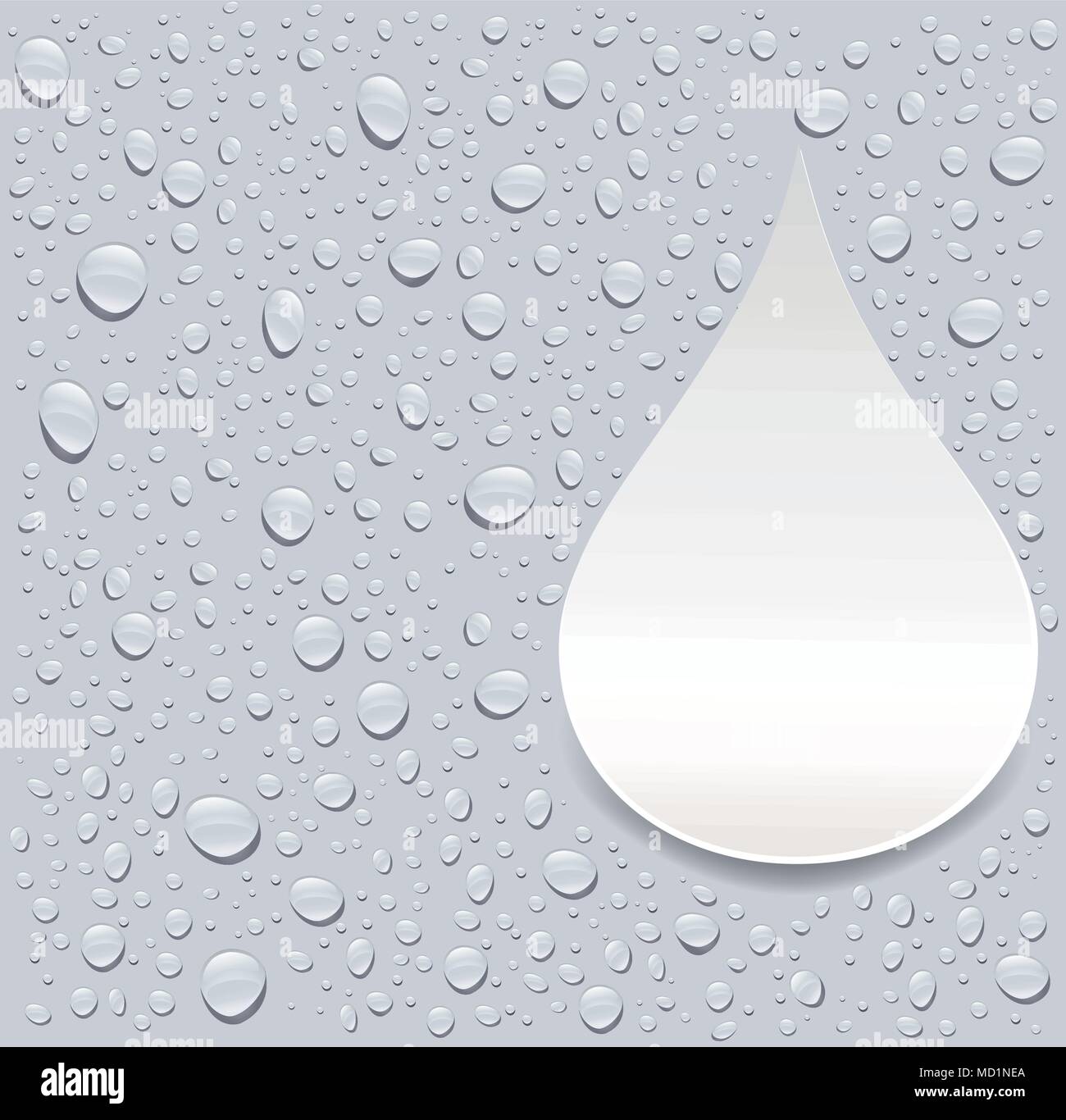 water drops on grey background and place for your text Stock Vector ...