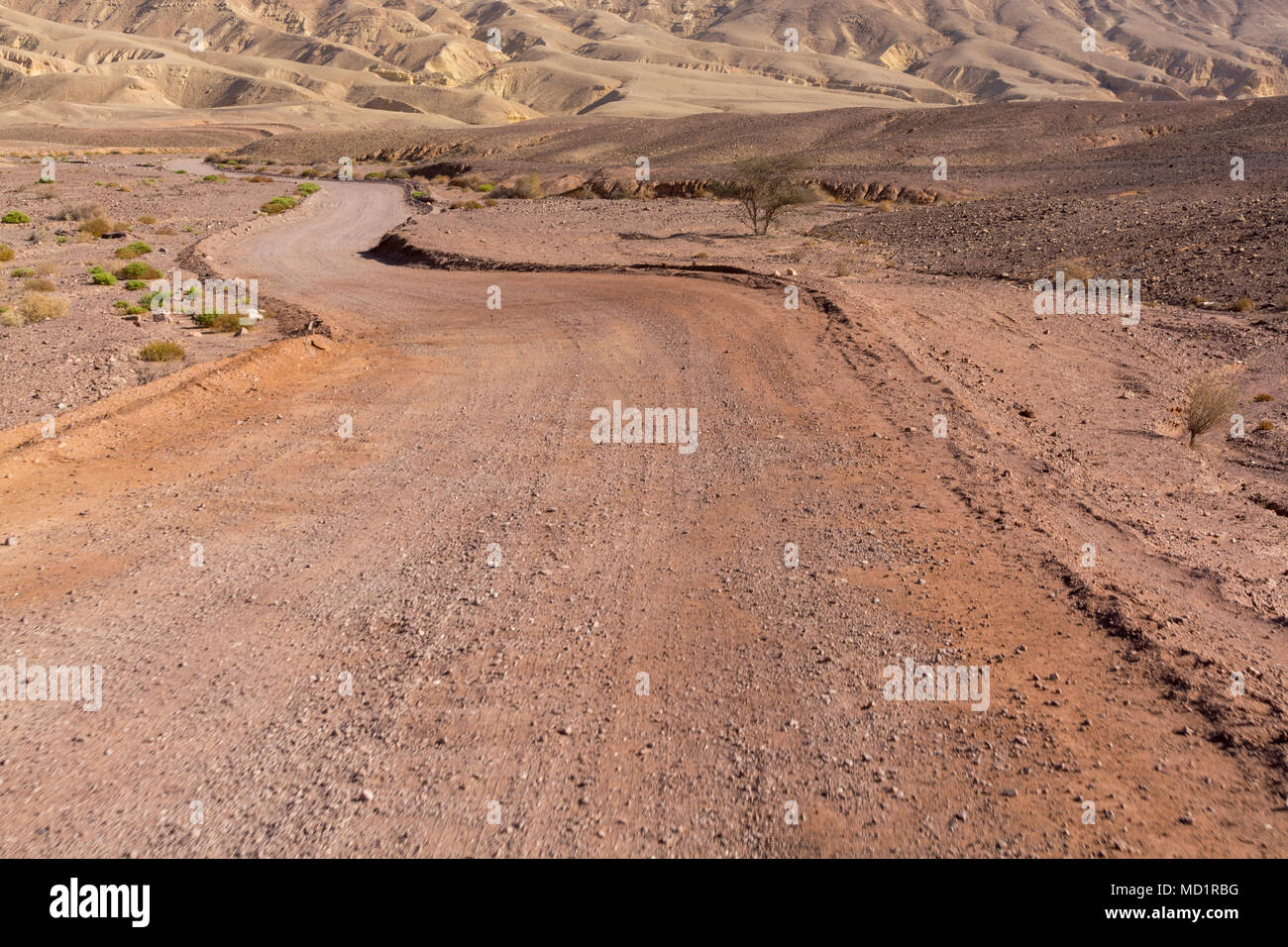 Dirt road in desert Negev, Israel, transport infrastructure in desert ...