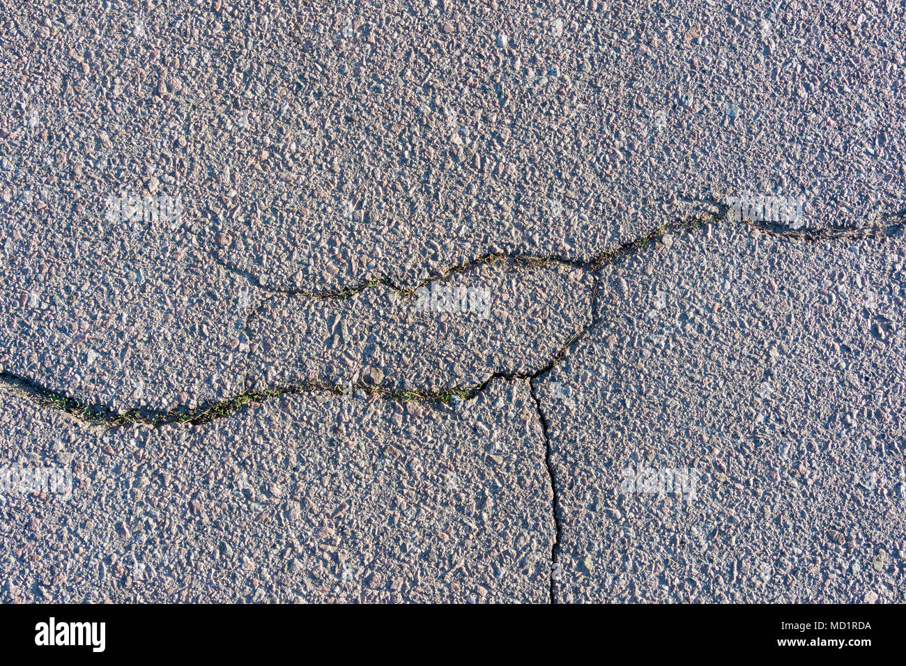 background texture of a crack on a road surface close-up in the sun ...