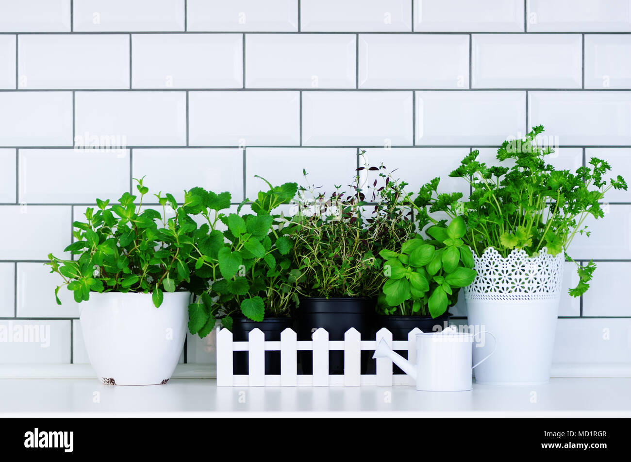 Minimalist kitchen design. Mint, thyme, basil, parsley - aromatic ...