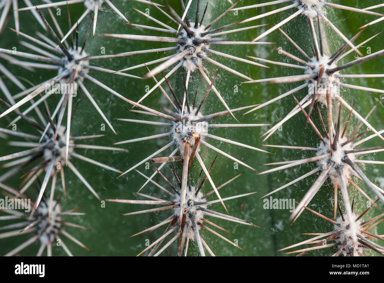 Bits of colour hi-res stock photography and images - Alamy