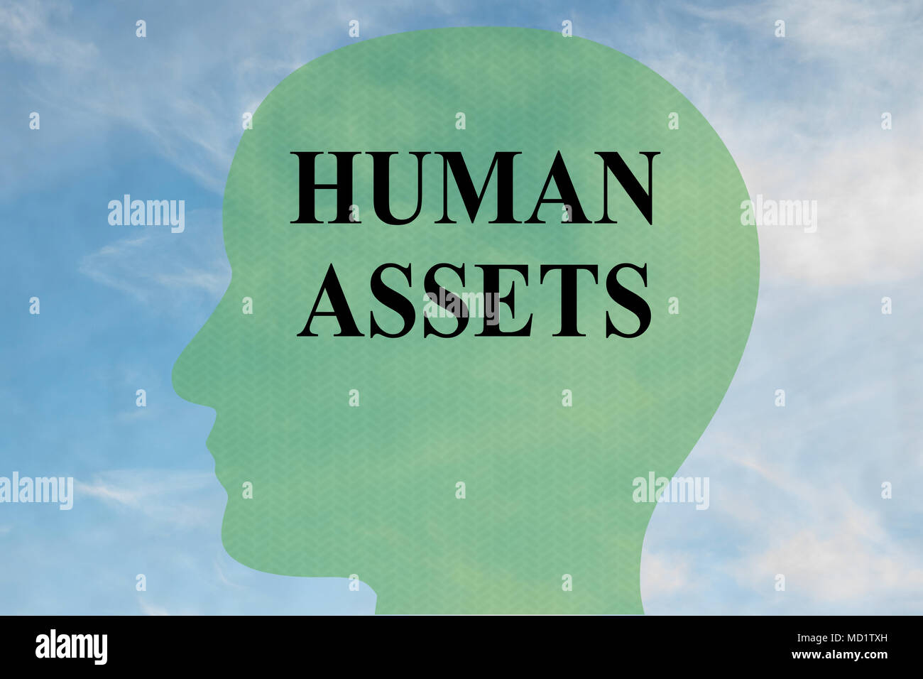Human assets hi-res stock photography and images - Alamy