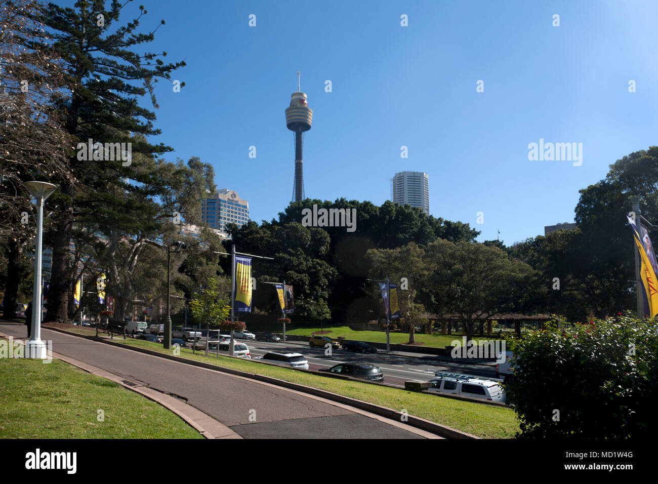 sydney tower hyde park sydney new south wales australia Stock Photo - Alamy
