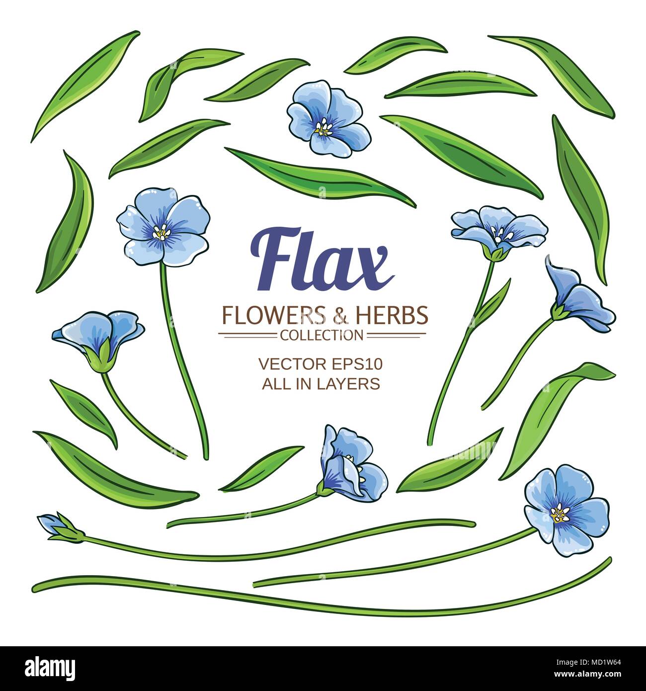 flax plant elements vector set on white background Stock Vector Image ...