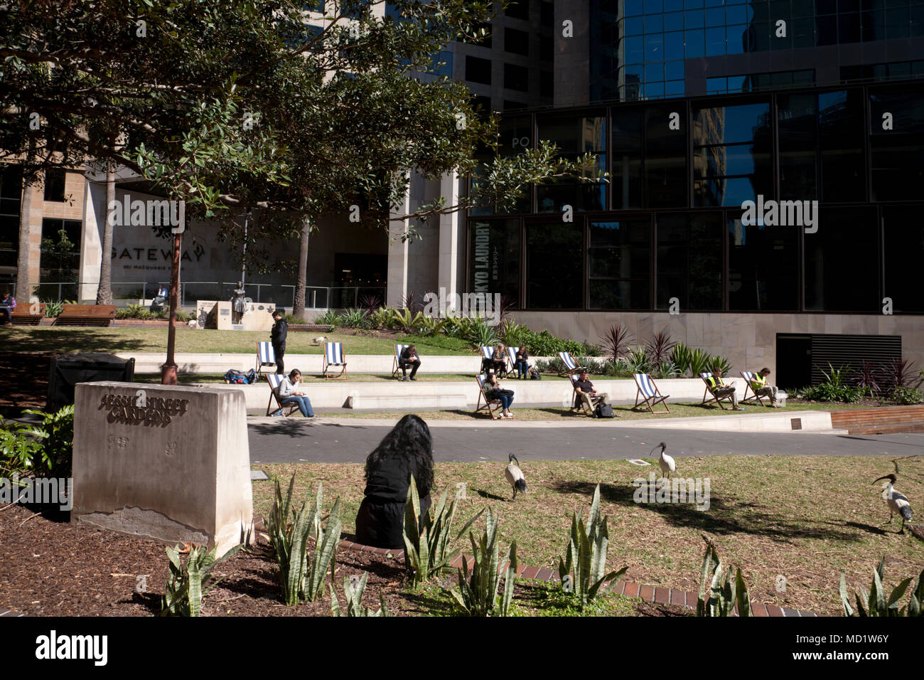 jessie street gardens loftus street central business district sydney ...