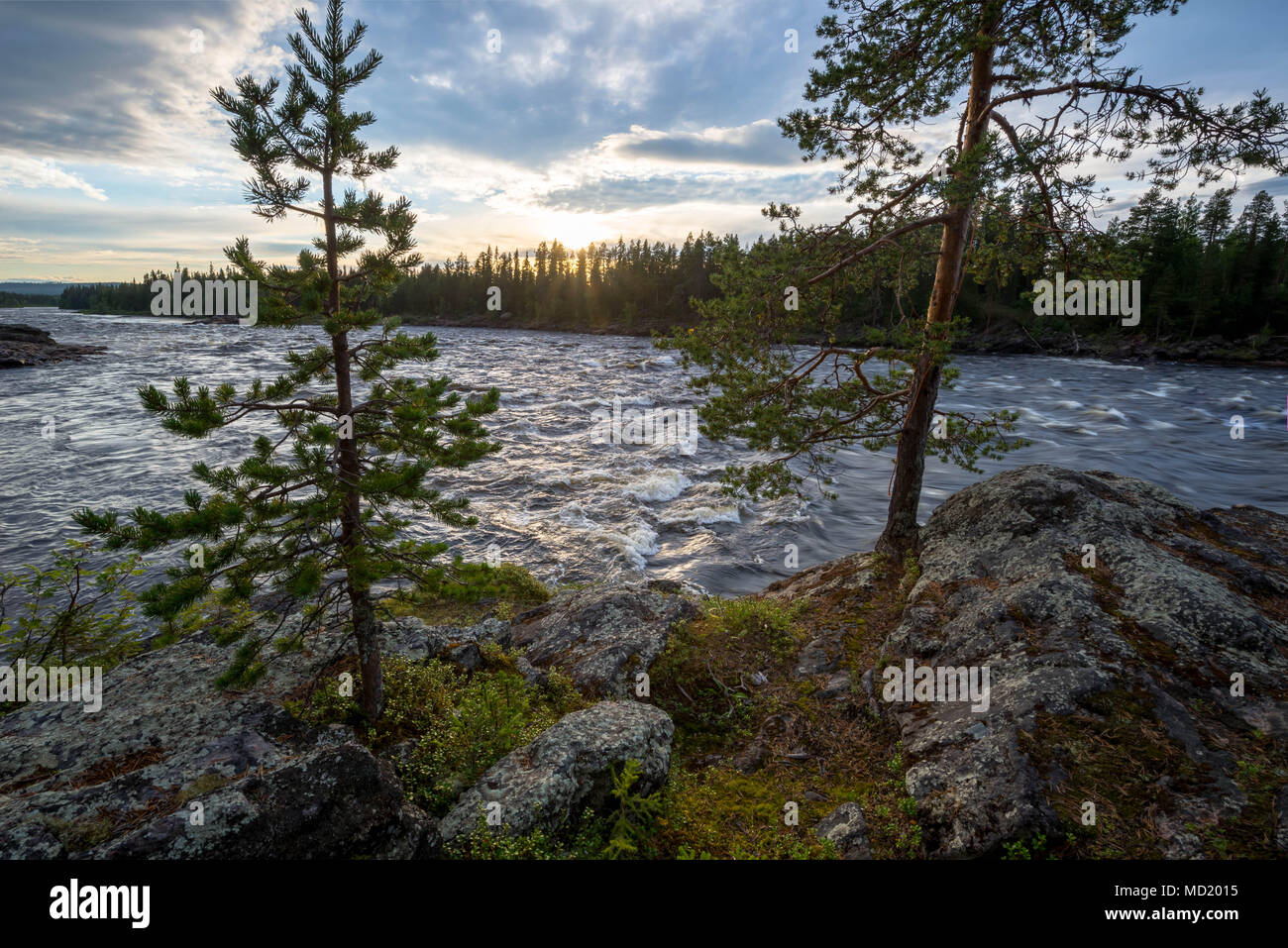 Lapland summer river muonionjoki hi-res stock photography and images ...