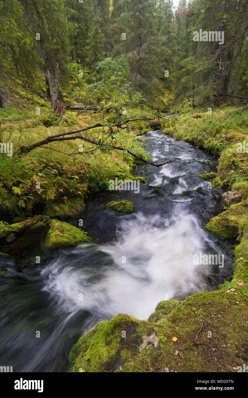 Finland lapland national park hi-res stock photography and images - Alamy