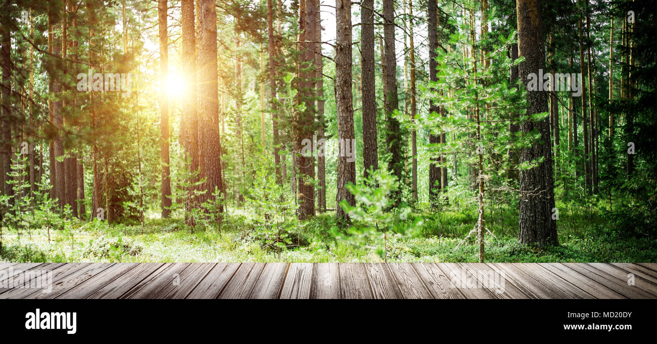Ecology background outdoor landscape Stock Photo - Alamy