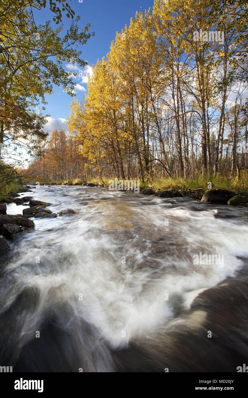 River and autumn colours in Muonio, Lapland, Finland Stock Photo - Alamy