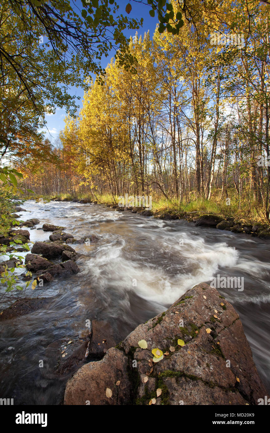 River and autumn colours in Muonio, Lapland, Finland Stock Photo - Alamy