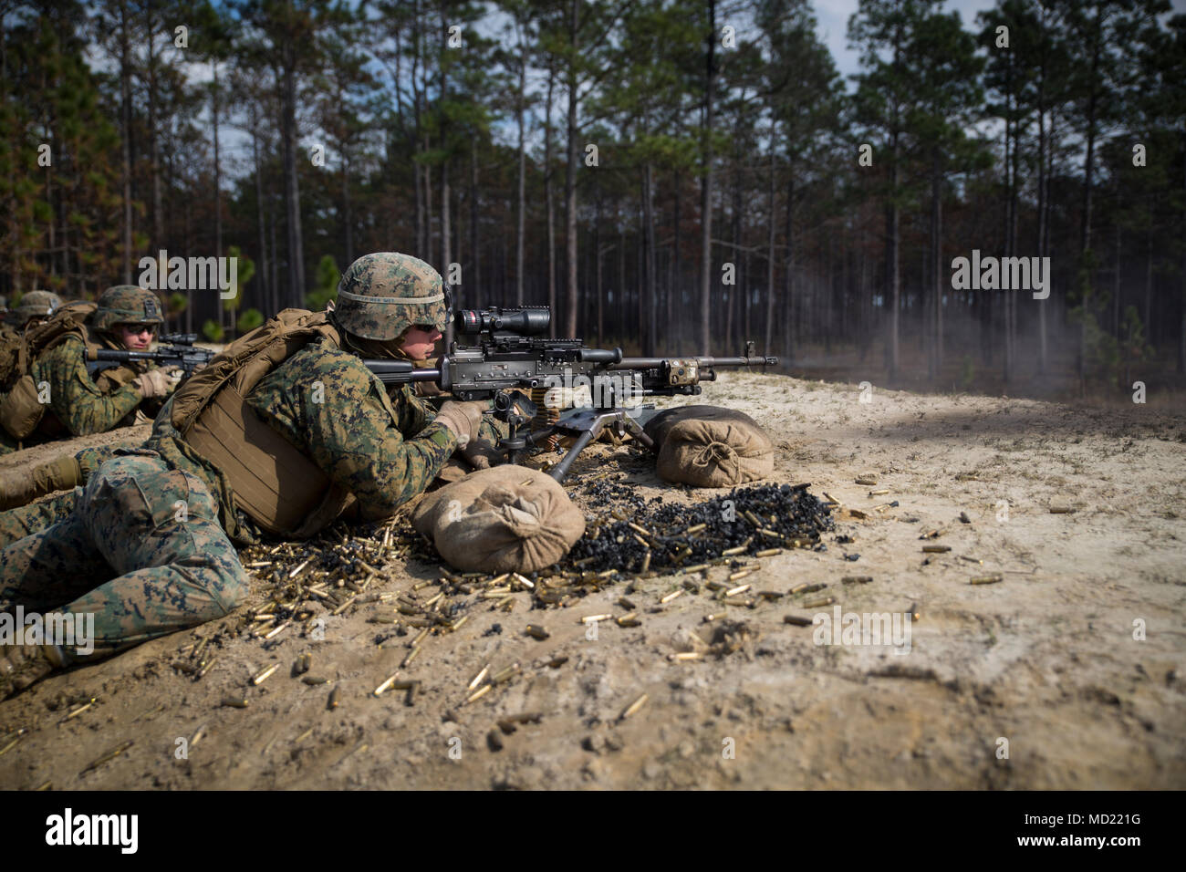 Blog Posts - proeasysite