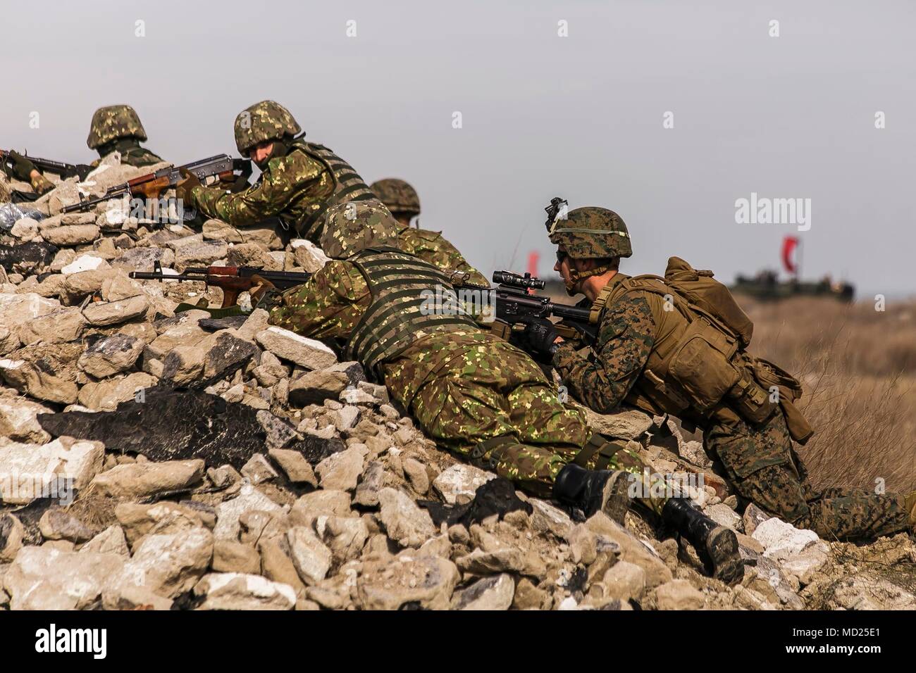 307th marine battalion hi-res stock photography and images - Alamy